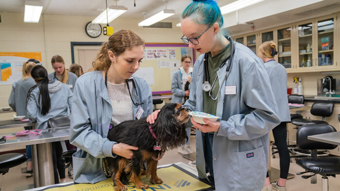 Vet Tech (VTA/VTPAS) Club - Ridgewater College
