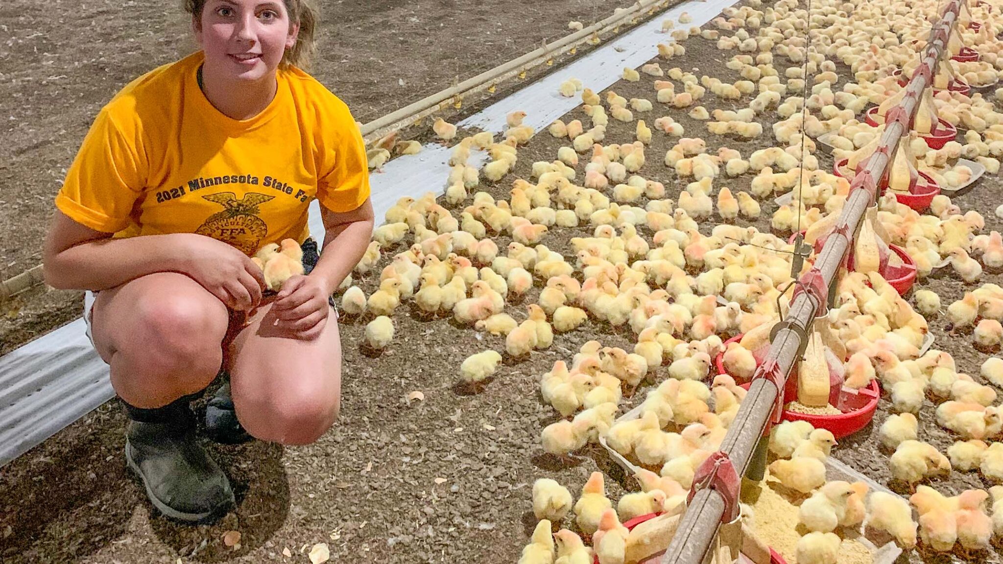 Poultry Management - Ridgewater College
